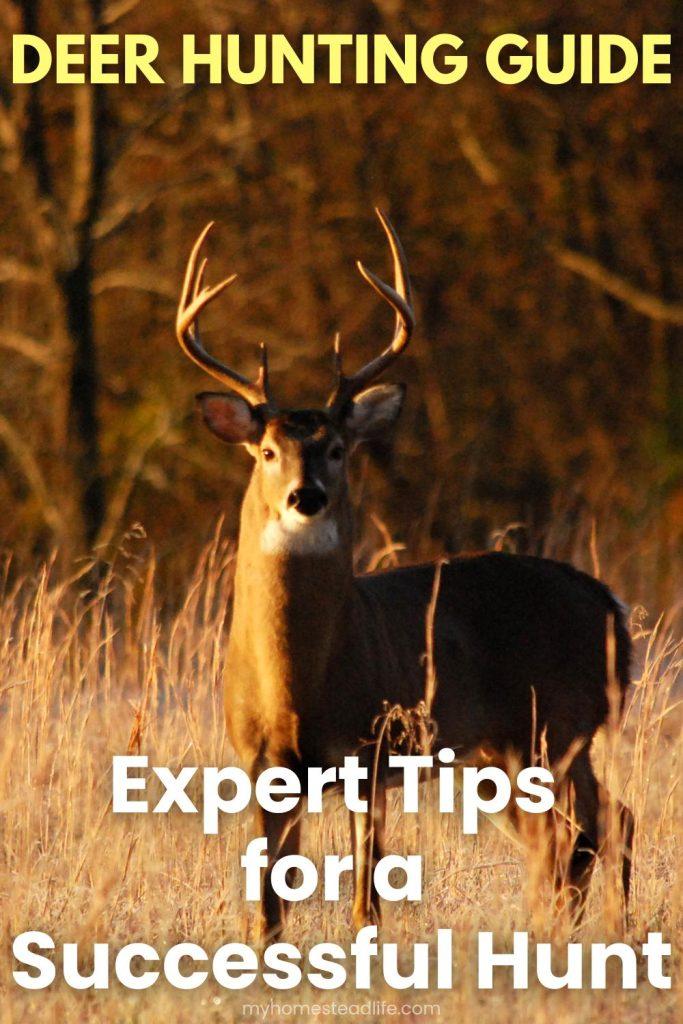 How to Track Deer: Essential Tips for Ethical and Effective Hunting ...
